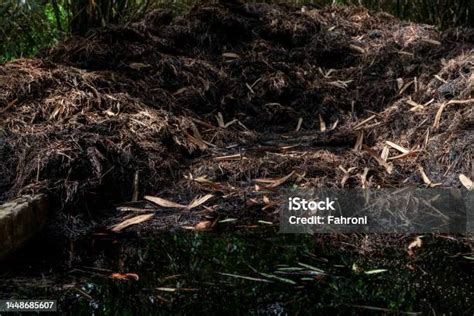 정원에 퇴비 더미 퇴비는 건강한 토양을 만듭니다 유기농 원예 식물 더미 분해 유기 물질 재활용 유기 농업 유기 비료 정원 지구 퇴비화 토양 자급자족 친환경농업에 대한 스톡