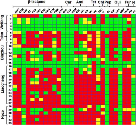 The Heat Map Of The Drug Resistance Profiles Red Represents Drug