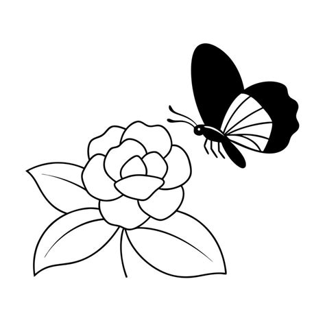 A Butterfly Is Extracting Nectar From A Camellia Flower Illustration Line Art 50986216 Vector