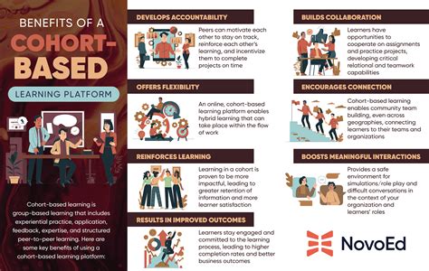 Benefits Of A Cohort Based Learning Platform Infographic Insights
