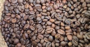 Giá Cà Phê Hôm Nay 27 8 Robusta Tăng 5 Phiên Liên Tục Cà Phê Việt Giảm Thị Phần Tại Nhật