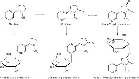 Figure 1 From Glucuronidation Enzymes Genes And Psychiatry Semantic Scholar