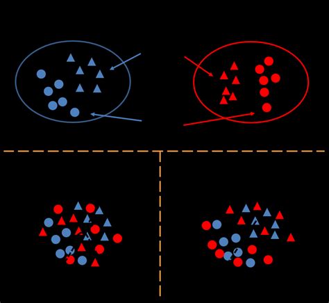 The Illustration Of Discriminative Domain Regularization Component Download Scientific Diagram