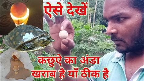 कछऐ क अड खरब ह य ठक ह इस तरह स दख YouTube
