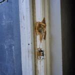 How To Read Window Sizes A Comprehensive Guide