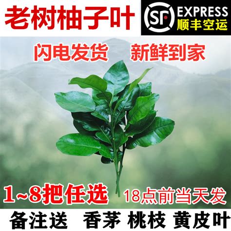 柚子叶新鲜碌柚叶艾草黄皮叶香茅桃枝 祈福乔迁新居去晦气转运 虎窝淘