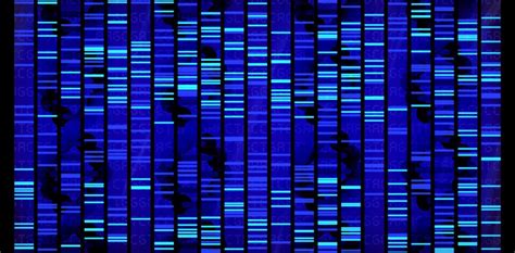 Myeloma Diagnostics Next Generation Sequencing Peoplebeatingcancer