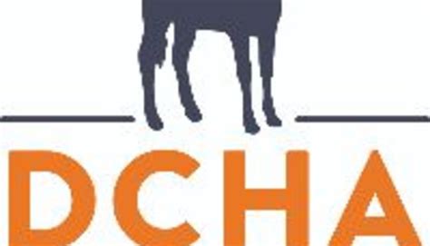 Dcha To Deliver Its First Spanish Webinar