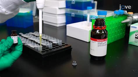 Serie Hämolyse Assay Eine In Vitro Methode Zur Messung Der Calcium