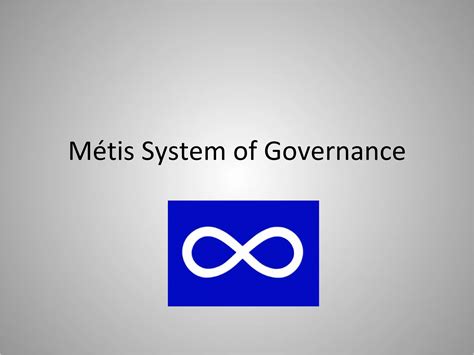 Metis Governance Ppt