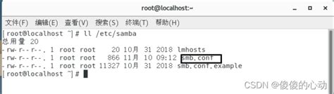 linux系统了解 samba服务器配置的工作流程 samba工作流程图 csdn博客