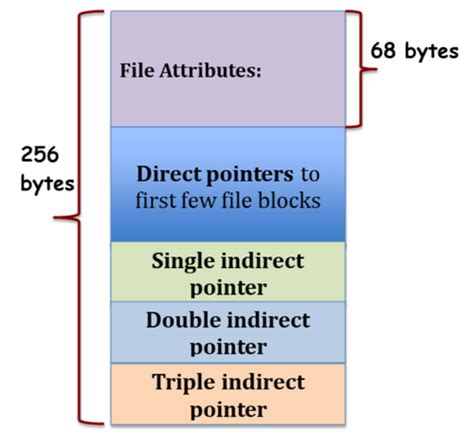 Final Cs370 Flashcards Quizlet