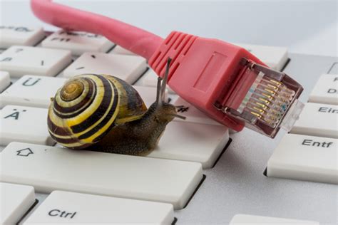 Here Are Quick Fixes When You Cant Connect To Your Nbn Fixed Wireless Plans IPSTAR