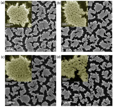 sem micrographs of npg with different ligament sizes the ligament