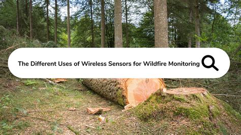 Uses Of Wireless Sensors For Wildlife Monitoring Dryad