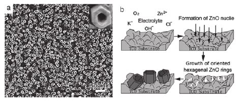 Surface Morphology Of Zno Nanotube Film A And Illustration Of The