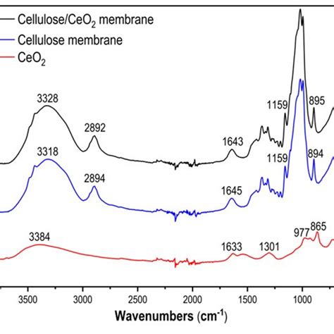 A Cellulose Ceo2 Membrane Surface Structure And B Mapping Of Download Scientific Diagram