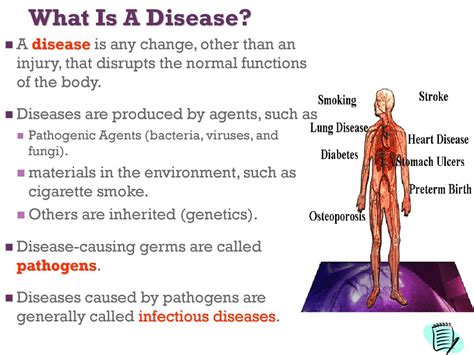 The Immune System Ppt Download