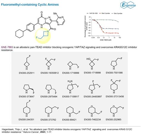 There Are A Lot Of Reasons For Including Small Fluorinated Cyclic Amines In The Biologically