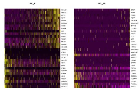 Seurat 强烈建议收藏的单细胞分析标准流程（细胞周期的影响去除）（三） Seurat按照细胞周期分类 Csdn博客