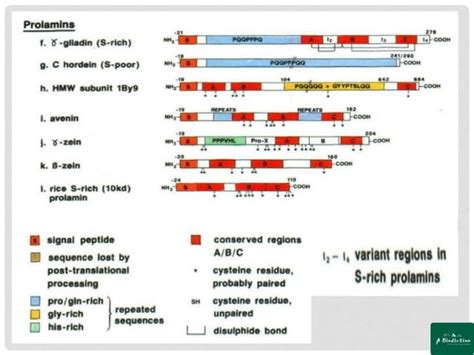 Seed Storage Proteins In Plants PDF