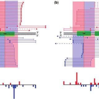 Peak Calling Criteria A Determination Of A Candidate Peak In The Download Scientific Diagram