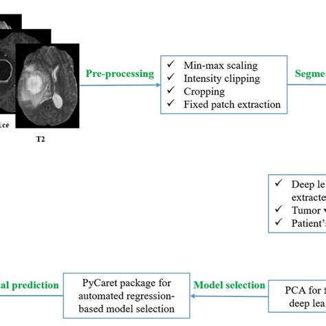 Overview Of Complete Survival Prediction Pipeline Download Scientific Diagram
