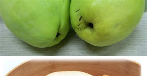 감기에 좋은 음식과 한방차로 기침감기 이겨내는 방법