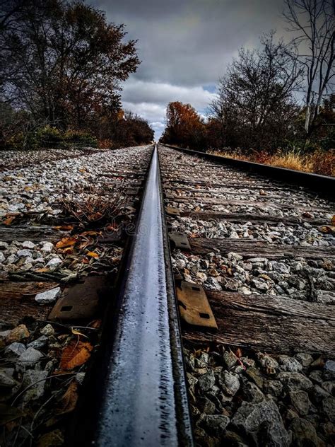 Wrong Side Of The Tracks Stock Image Image Of Leaf