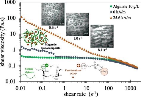 Microstructure Patterning Induced By Magnetic Field In Biopolymer… Alain Ponton