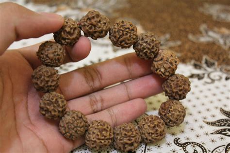 Jenitri Biji Bijian Unik Yang Harganya Semahal Emas Boombastis