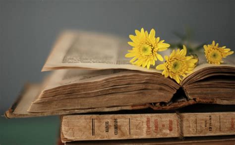 Books HD Wallpapers Top Free Books HD Backgrounds WallpaperAccess