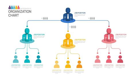Infographic Template For Organization Chart With Business People Icons