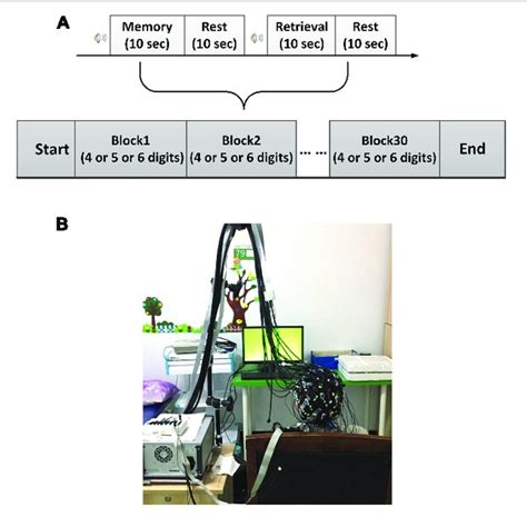 Experimental Design A The Digit Verbal Span Task Used In This Download Scientific Diagram