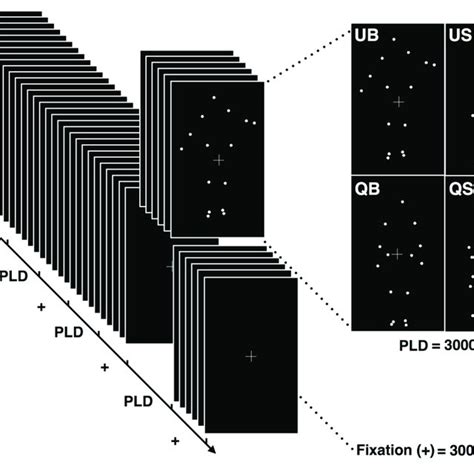 Schematic Illustration Of The Stimuli Presentation Protocol Each Download Scientific Diagram