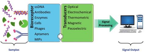 1 Schematic Representation Of The Basic Components Of Biosensors