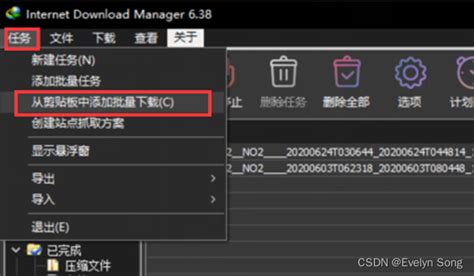 Idmpython批量自动化下载哨兵5号数据python Idm库 Csdn博客
