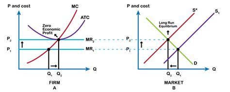 Perfect Competition Loss Graph