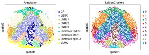Tutorial 2 Cross Modality Representation Of Spatial Transcriptomic