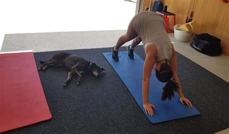 Group Circuit Inspiraction Fitness And Wellbeing