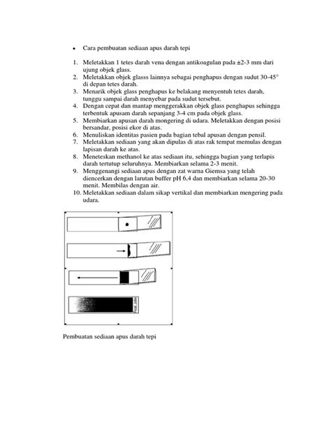 Cara Pembuatan Sediaan Apus Darah Tepi Pdf