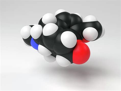 Codeine Molecule Photograph By Indigo Molecular Imagesscience Photo