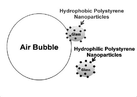 The Influence Of Nanoparticle Hydrophobicity On Froth Flotation Yang Download Scientific