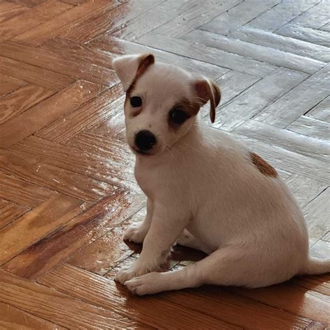 Streaver On Linkedin Artificialintelligence Innovation