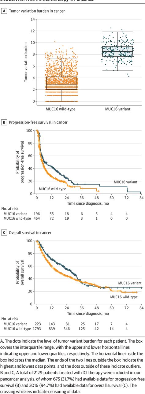 Figure 1 From Association Of Immune Checkpoint Inhibitor Therapy With Survival In Patients With