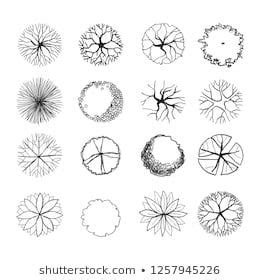 Tree Plan Set Tree Top View Stock Vector Royalty Free 1257945226 Shutterstock Architecture