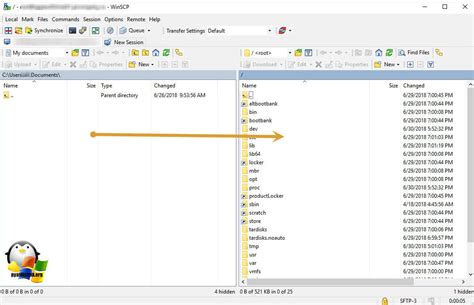 Как из Windows скопировать файл на Centos Ubuntu Debian Freebsd Настройка серверов Windows