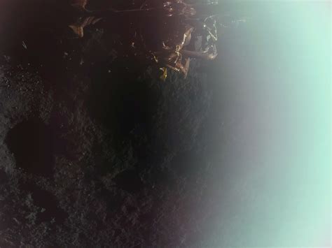 Touchdown Carrying Nasa Science Fireflys Blue Ghost Lands On Moon 0