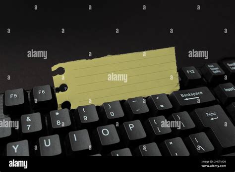 Programmer Creating New Software Coder Typing Programming Language