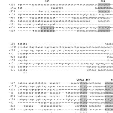 Conserved Cis Regulatory Elements Within The Core Promoter Regions Of